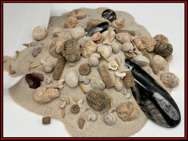 Buriedtreasure.store – Buried treasure