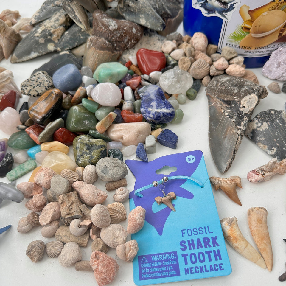 THE MEG - THE ONE GALLON ULTIMATE SHARK BUCKET | Buried treasure